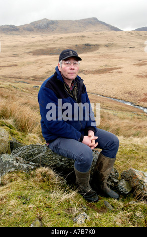 Sheep, still suffering the effects of radioactive fallout, on farm in ...