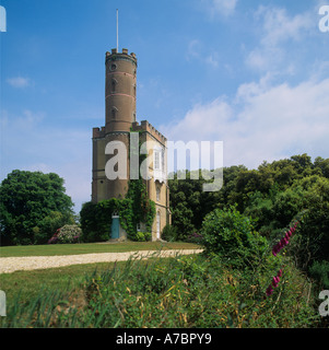 Luttrell s Tower Folly built by Temple Simon Luttrell circa 1720 west ...