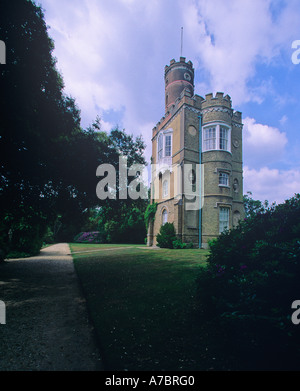 Luttrell s Tower Folly built by Temple Simon Luttrell circa 1720 west ...