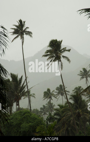 Tropical storm in the Cook Islands Stock Photo - Alamy