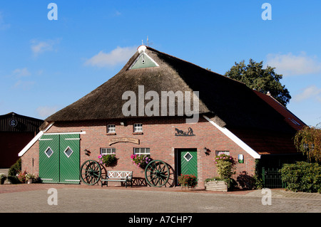 Reed roofed farm house Arle Stock Photo - Alamy