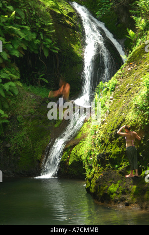 Cooling off by Wigmore waterfall and plunge pool in Rarotonga in the ...