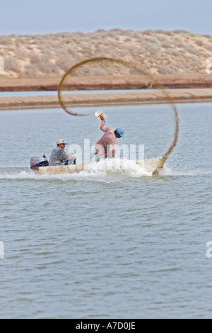Shrimp farm Mexico Sonora.The farm Agualarva S A de C V located near ...