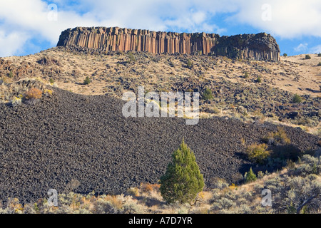 Basalt column cliffs in central Oregon USA Stock Photo: 11803170 - Alamy