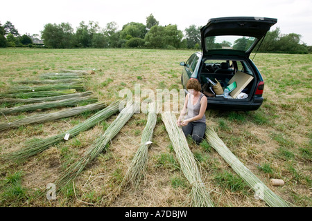 Anna Lewington weaving with rushes harvested in a traditional and ...