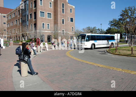 Students wait for public bus transportation on the Florida State ...