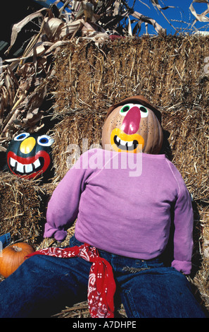 Halloween pumpkins dummies with painted pumpkin faces Fall Colors ...
