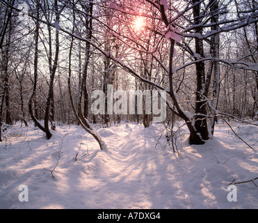 Challock, Kent, GB, United Kingdom, England, N 51 12' 29'', N 0 49' 45 ...