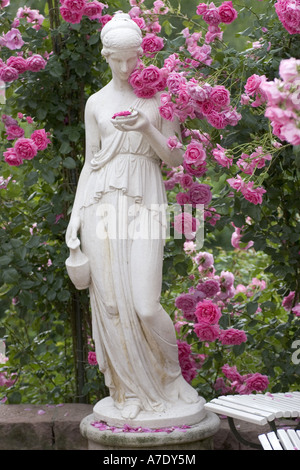 ornamental rose (Rosa spec.), statue of a woman in a blooming rose ...