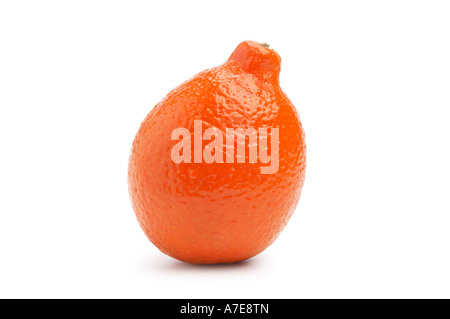 Tangelo Mineola sometimes miniola a cross between tangerine and ...