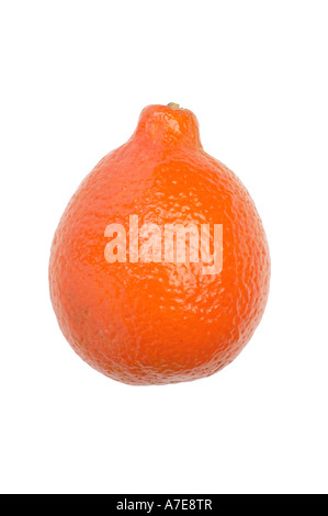 Tangelo Mineola sometimes miniola a cross between tangerine and ...