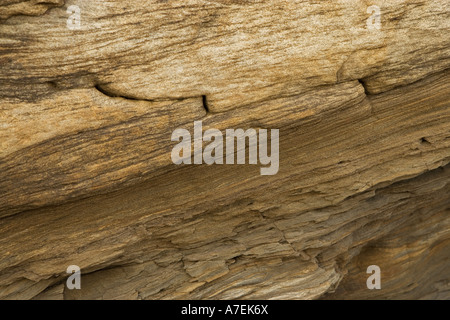 Rock Strata, Beadnell, Northumberland, England, UK Stock Photo - Alamy