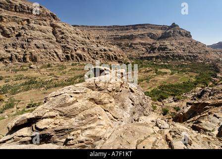 Qat plantation in the jemenian mountains Yemen Stock Photo - Alamy