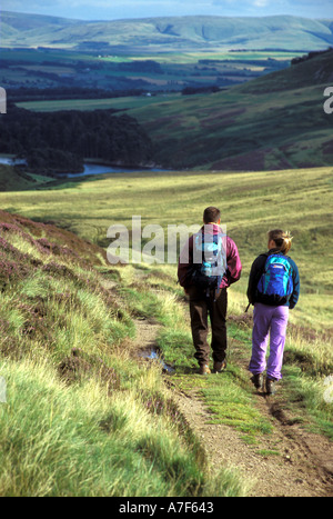 Pentland Hills in heather Stock Photo - Alamy