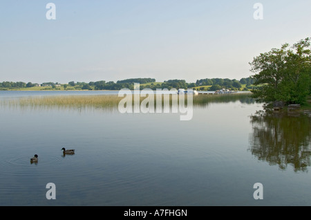 Lough Ree, County Westmeath, Ireland Eire Irish lake lakes loughs ...