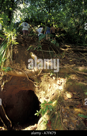 CA, Costa Rica, Cocos Island. World Heritage Site, Wafer Bay Waterfall ...
