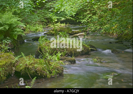 River Lyd flowing through Lydford Gorge Dartmoor National Park Stock ...