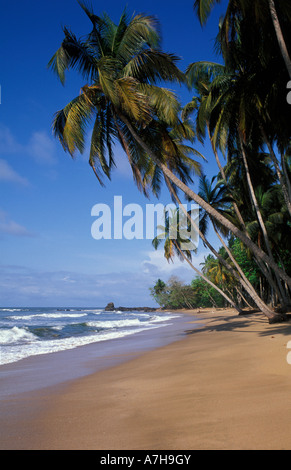 Ankobra beach, Ghana Stock Photo - Alamy