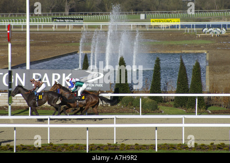 Horse Racing - Kempton Racecourse Stock Photo - Alamy