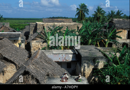 Kenya, Pate Island, Pate Village. A Swahili woman in brightly coloured ...