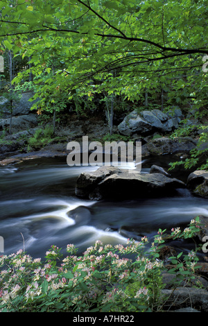 Spring at Packer s Falls on the Lamprey River Stock Photo - Alamy