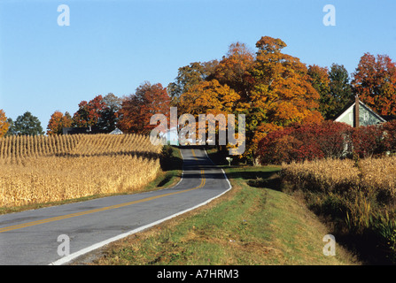 Fall colours in the Eastern Townships in Quebec, Canada Stock Photo - Alamy