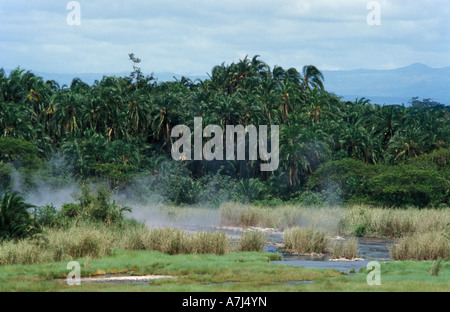 Sempaya hot springs are rich in salt and sulphur, Semliki National Park ...