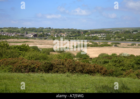 Teifi marshes nature reserve, Welsh Wildlife Centre, Cilgerran ...