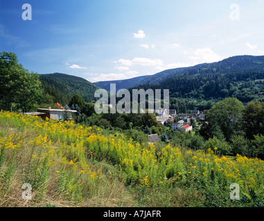 Landschaft im Schwarzatal, Flusslandschaft, Berglandschaft, Sitzendorf ...