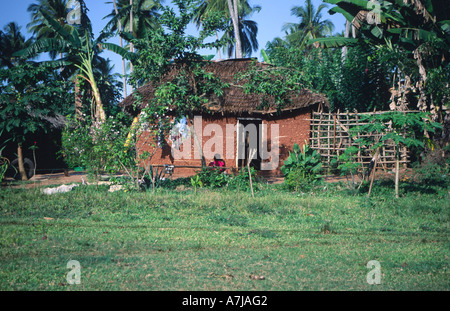 Traditional Swahili house with roof of palm thatch and walls of mud and ...