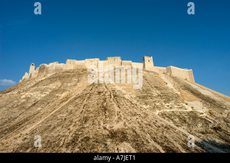 City Mosque and The Citadel Aleppo Haleb Syria Middle East Stock Photo ...