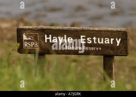Hayle estuary a RSPB nature reserve in Cornwall, UK Stock Photo - Alamy