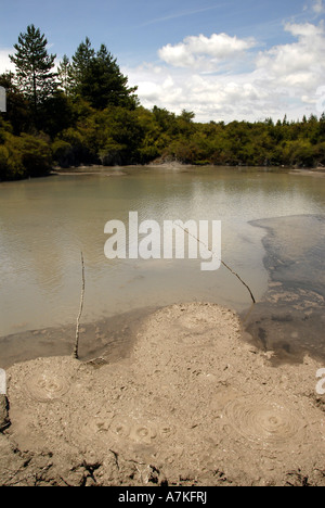 Thermal mud pool Rotorua North Island New Zealand Stock Photo - Alamy