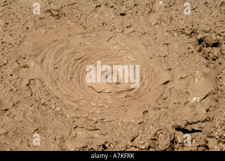 Thermal mud pool Rotorua North Island New Zealand Stock Photo - Alamy