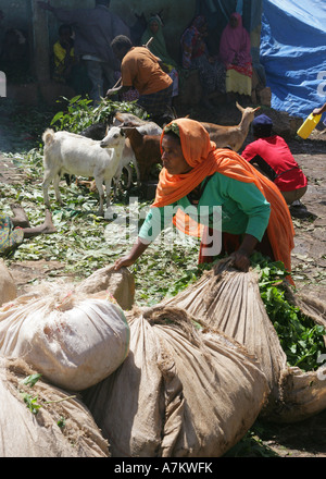 Ethiopia - Trader selling Chat at the Chat market in Aweday near Harar ...