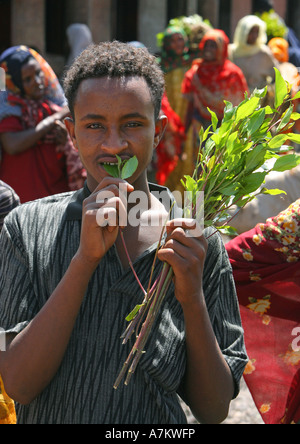 Ethiopia - man selling Chat at the Chat market in Aweday near Harar ...