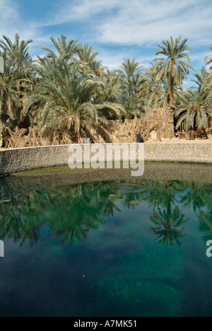 Cleopatra's Bath, natural spring, Siwa, Egypt Stock Photo - Alamy