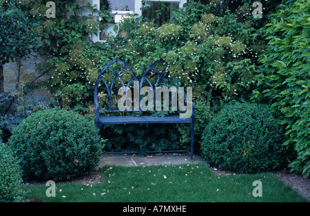 Clipped box balls and hydrangea petiolaris by garden seat Stock Photo ...