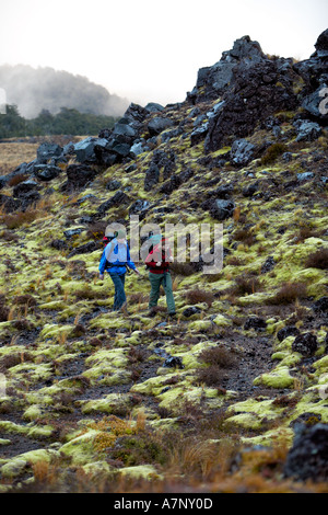 Whanganui River Ruapehu District New Zealand Stock Photo - Alamy