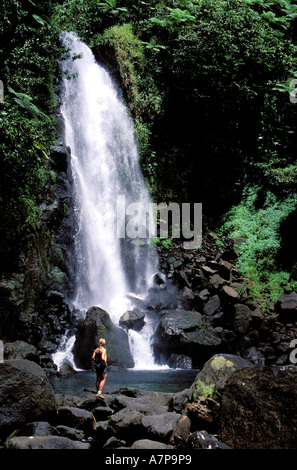 Dominica, central area, Trafalgar Falls Stock Photo - Alamy