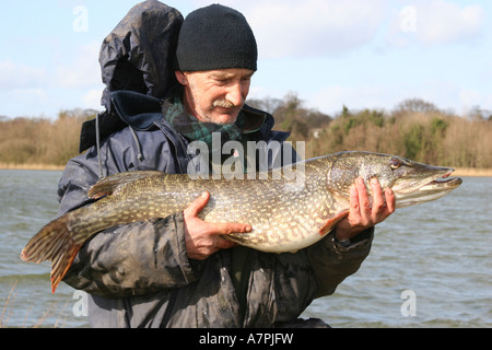 Angler holding freshly caught 20 pound Pike for photograph before ...