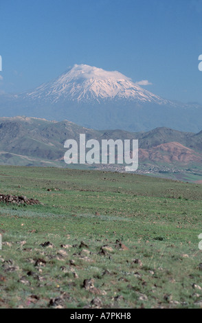 Ararat, highest mountain of Turkey, 5165 m, Turkey, East Anatolia Stock ...
