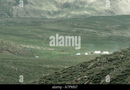 kurdish nomads with herd of sheep Stock Photo - Alamy