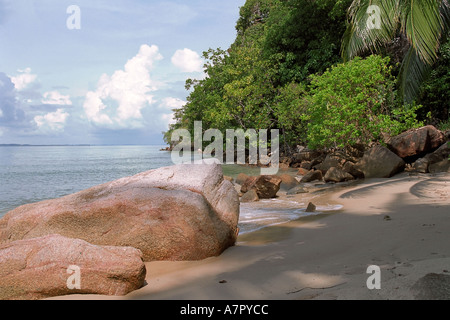 Rocks on sandy beach with tropical vegetation, Tonga Quarry, Tonga Bay ...