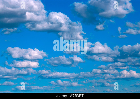 Scattered cumulus clouds Etosha Namibia Stock Photo - Alamy