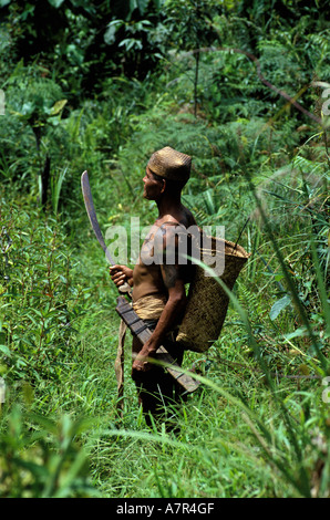 Asia, Borneo, Malaysia, Sarawak, Iban tribesman with tattoos Stock ...