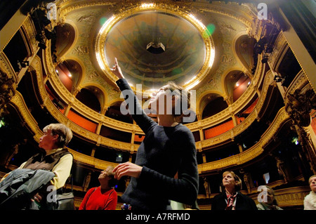France, Paris, visit of the Comic Opera wings Stock Photo - Alamy