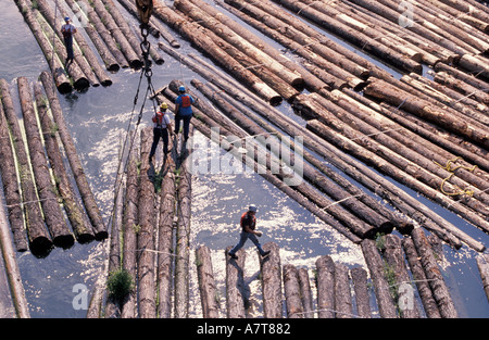 Floating Cut Logs Down a River Stock Photo - Alamy