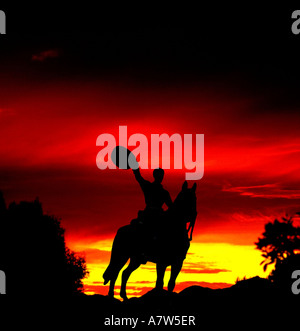 Wild Horses Silhouetted at Sunset Stock Photo - Alamy