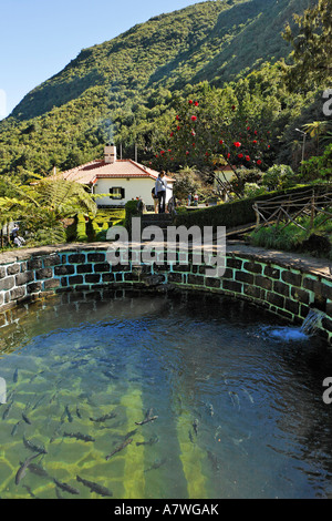 Fish farm pool. Trout breeding, sea food Stock Photo - Alamy